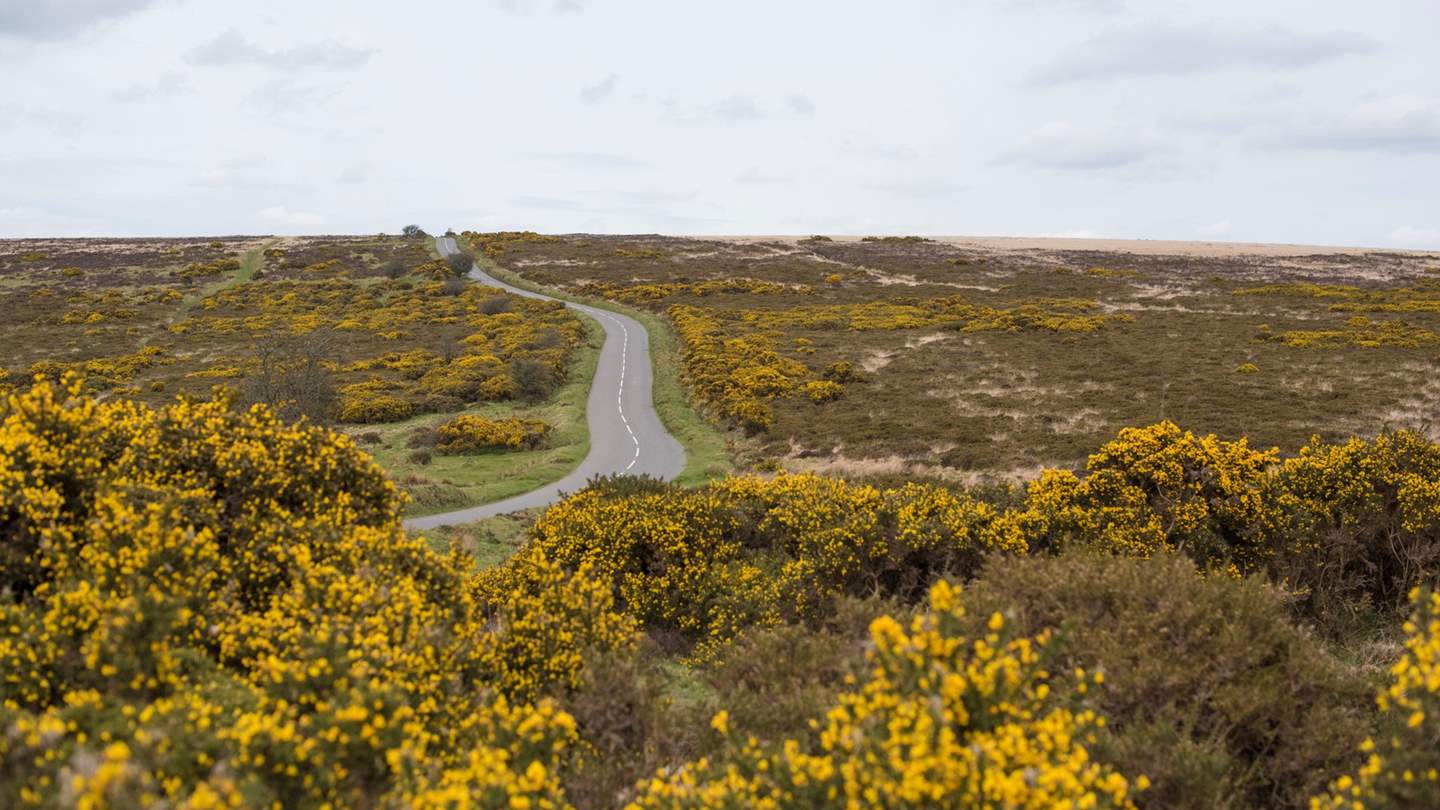 Enjoy boutique luxury at 10 Brushford - Dulverton.