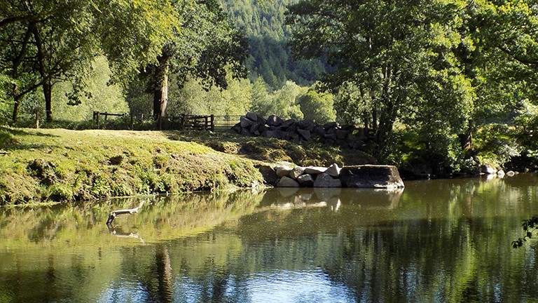 Enjoy boutique luxury at Demelza - Tamar Valley.