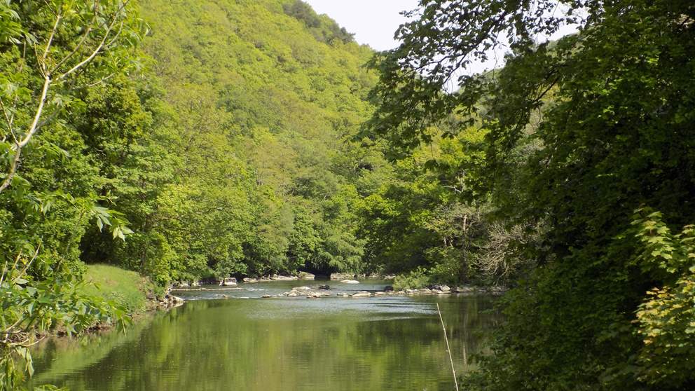 Enjoy boutique luxury at Demelza - Tamar Valley.